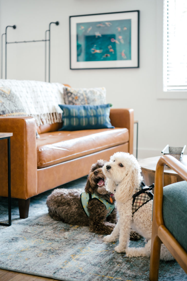 Top Three Tips for a Successful Interior Shoot by a Houston Interior Design Photographer - Ellen ...